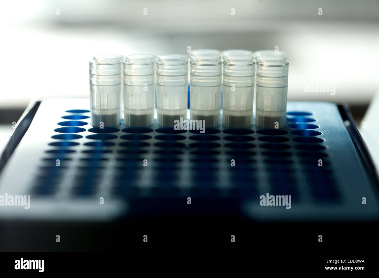 vial storage tray in laboratory Stock Photo - Alamy