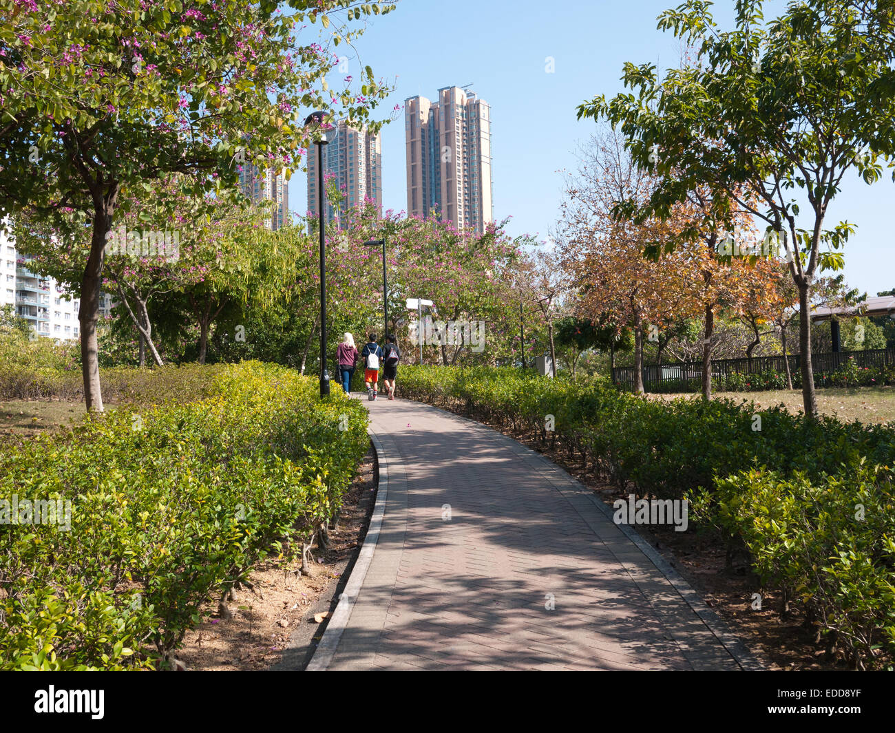 Hong Kong 2015 Lai chi kok park Stock Photo - Alamy