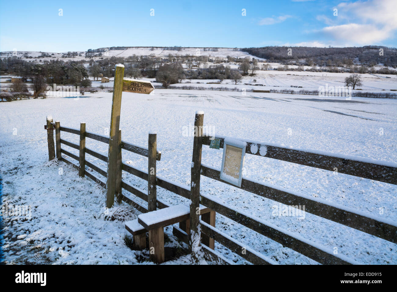 Wensleydale style in the snow Stock Photo - Alamy