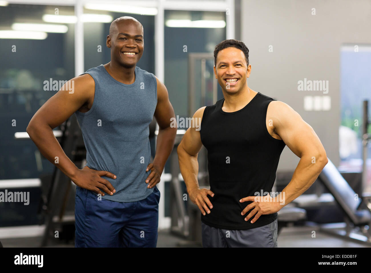 portrait of fitness men in gym Stock Photo - Alamy