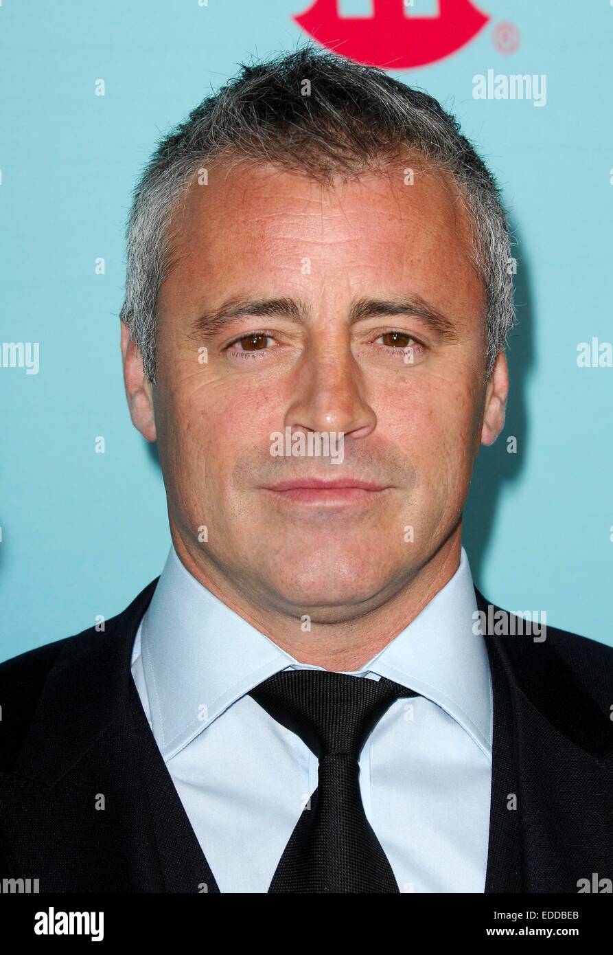 The Actor Matt Leblanc