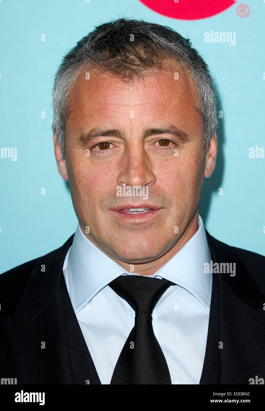 Hollywood, California, USA. 5th Jan, 2015. Matt LeBlanc SHOWTIME ...