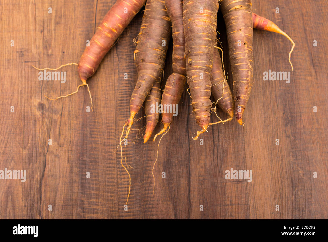 Vegetable of old sort of carrots in orange in purple Stock Photo - Alamy