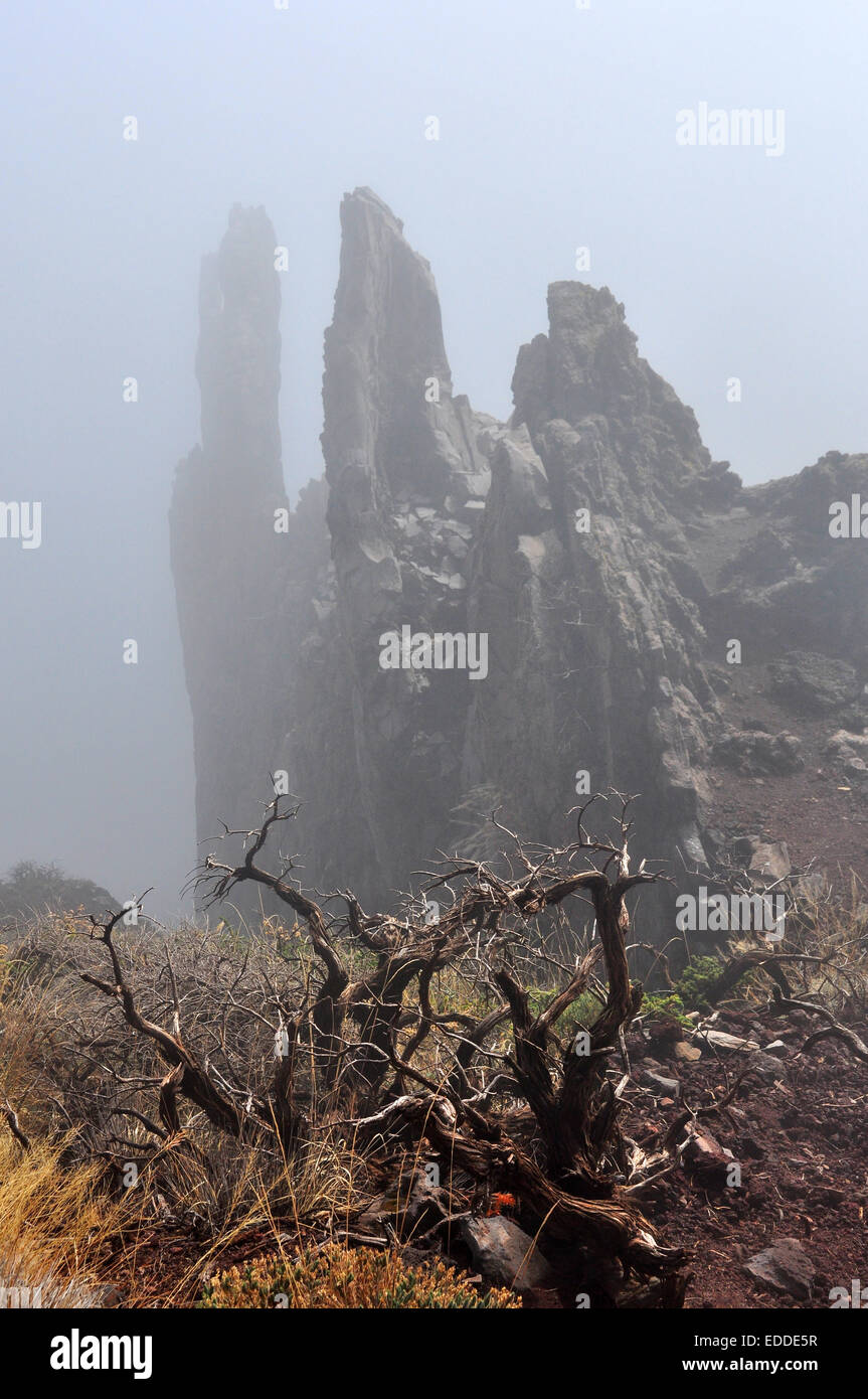 Rock wall, Pared de Roberto, Caldera de Taburiente National Park, La ...