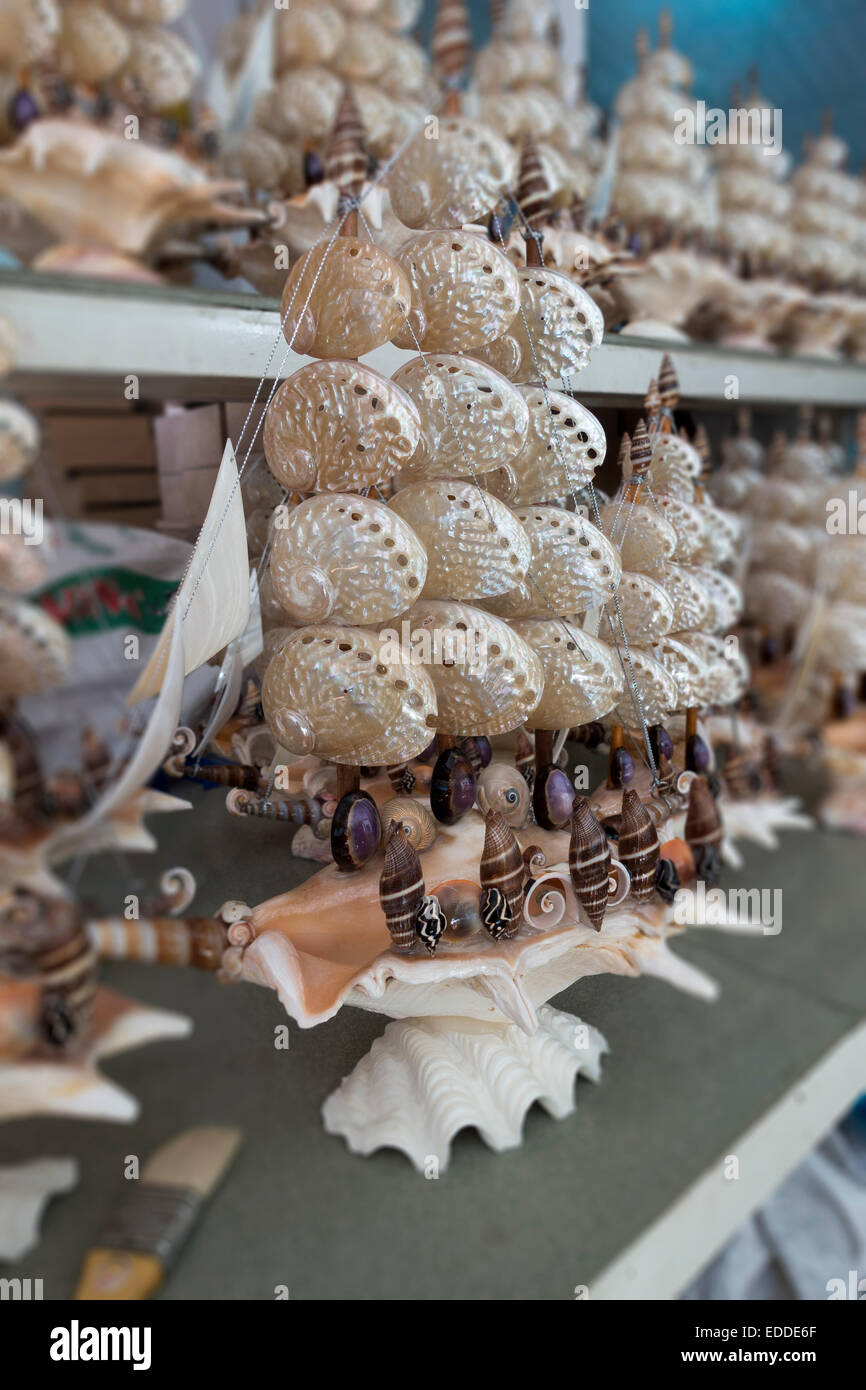 Sale shells hi-res stock photography and images - Alamy