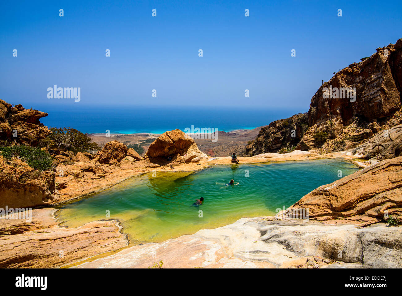 Pond at the coast, Homhil protected area, island of Socotra, Yemen ...