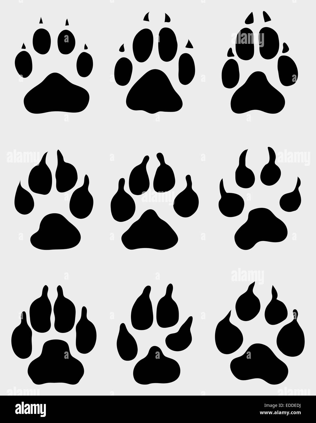 Trace dogs hi-res stock photography and images - Alamy