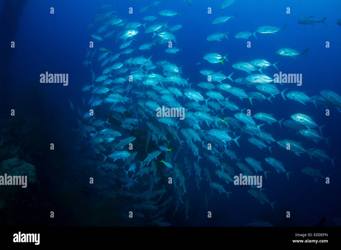 Iro maru hi-res stock photography and images - Alamy