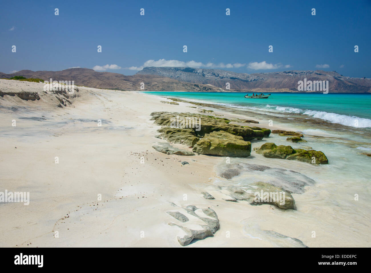 Socotra island yemen hi-res stock photography and images - Alamy