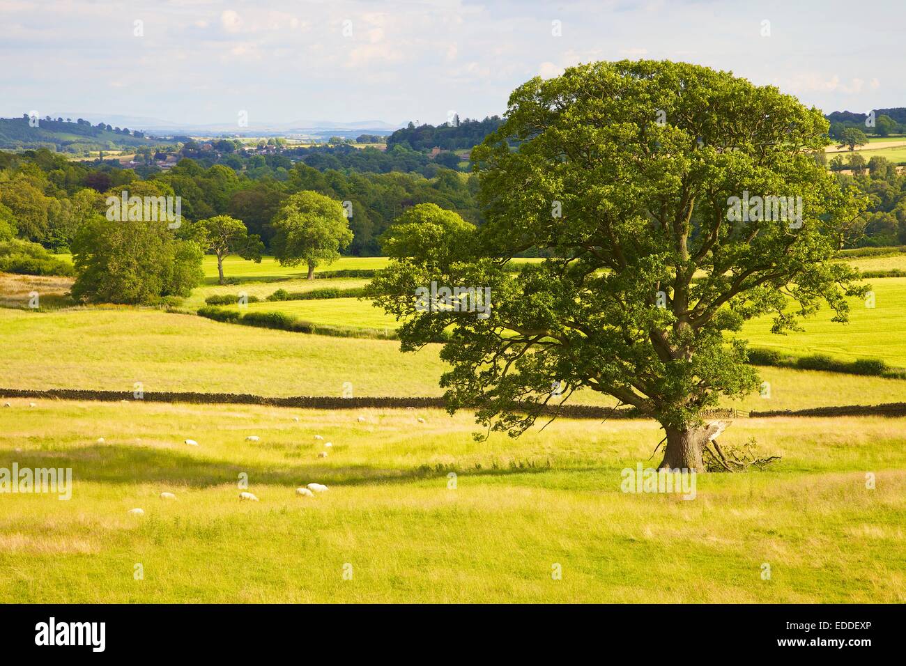 Kirkoswald hi-res stock photography and images - Alamy