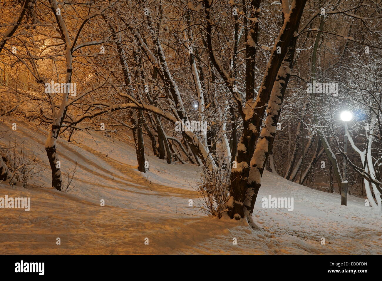 Snowy at night hi-res stock photography and images - Alamy