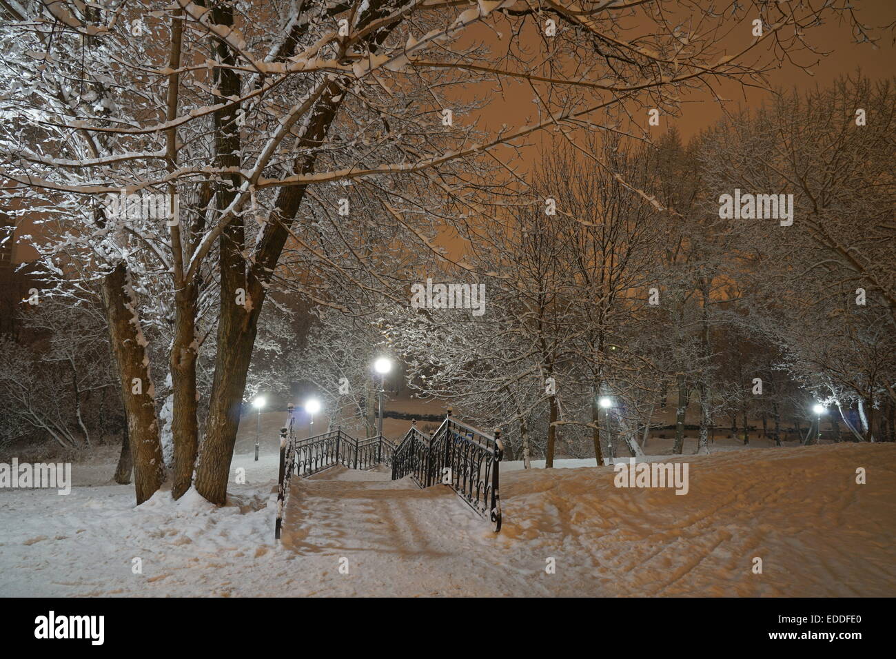 View of the park after snowfall in December Stock Photo - Alamy
