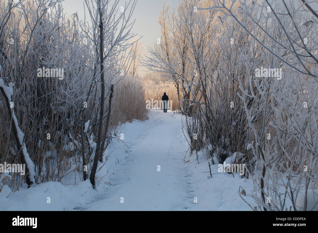 Snow pathway hi-res stock photography and images - Alamy
