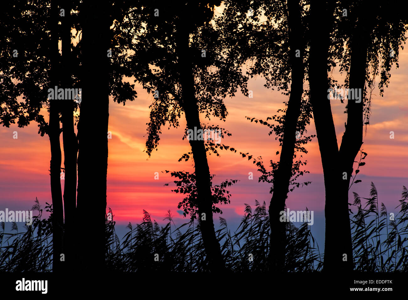 Sunset silhouette photography hi-res stock photography and images - Alamy