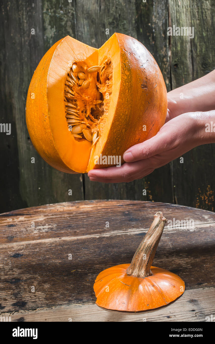 Hand holding chopped pumpkin Stock Photo - Alamy