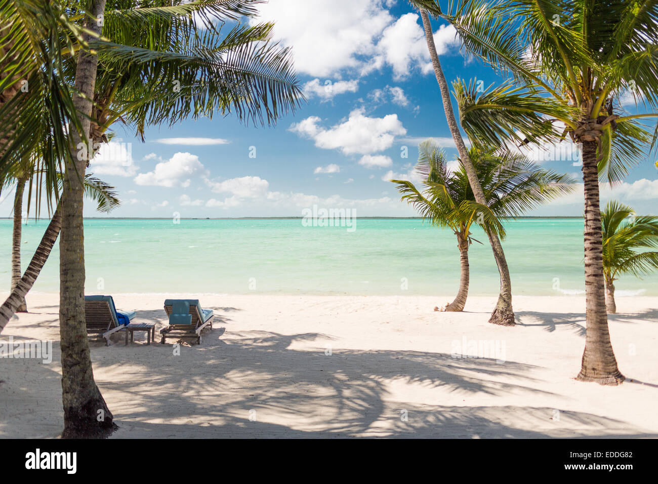 tropical beach with palm trees Stock Photo - Alamy