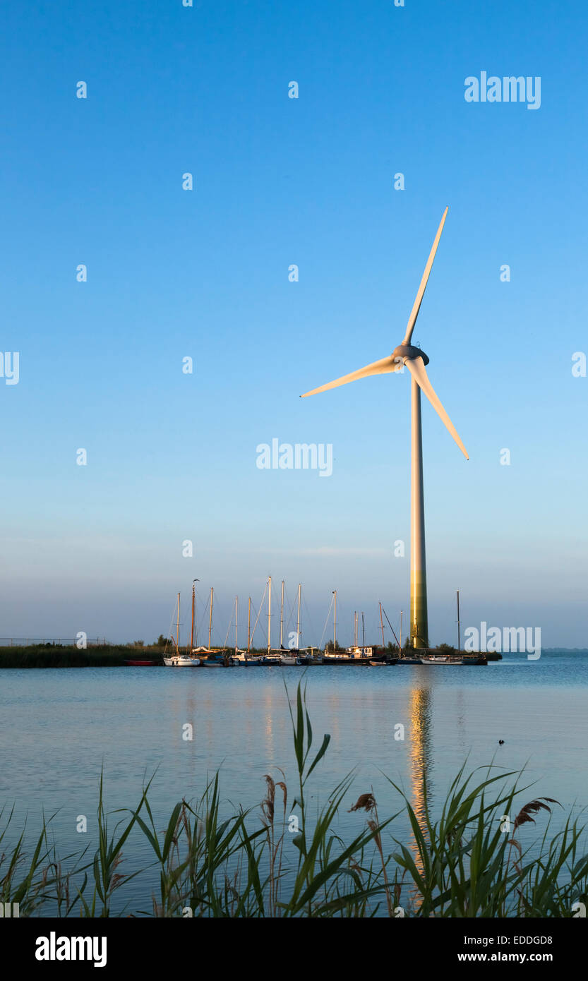 Netherlands, Waterland, wind turbine at the Ijsselmeer Stock Photo - Alamy