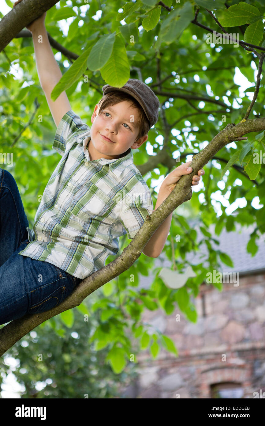 Portrait of little boy climbing in a tree Stock Photo - Alamy