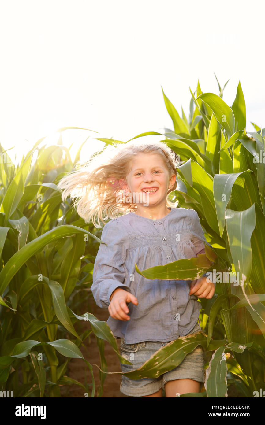 Grinning little girl running through maize field Stock Photo - Alamy