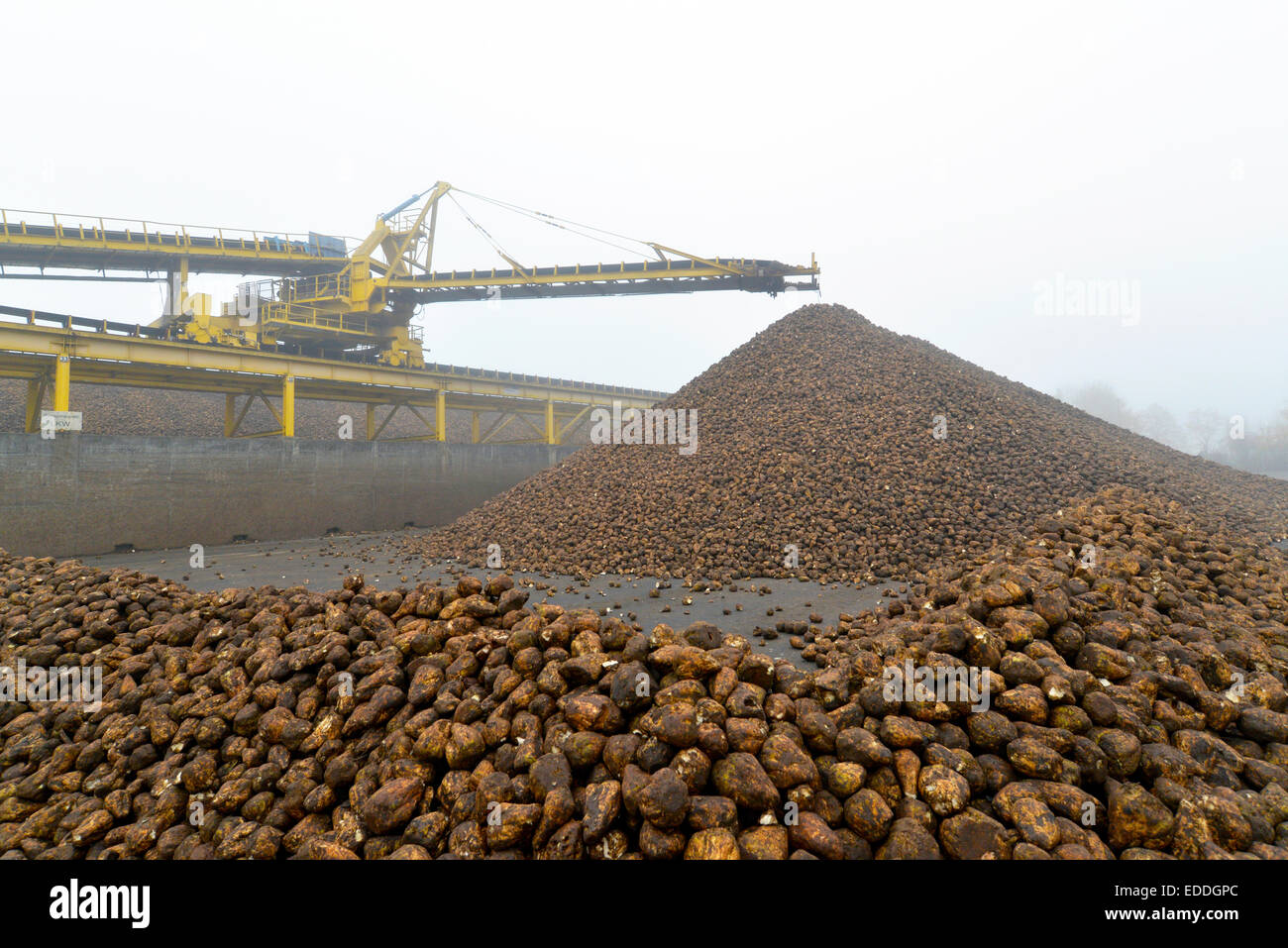 Large sugar mill hi-res stock photography and images - Alamy