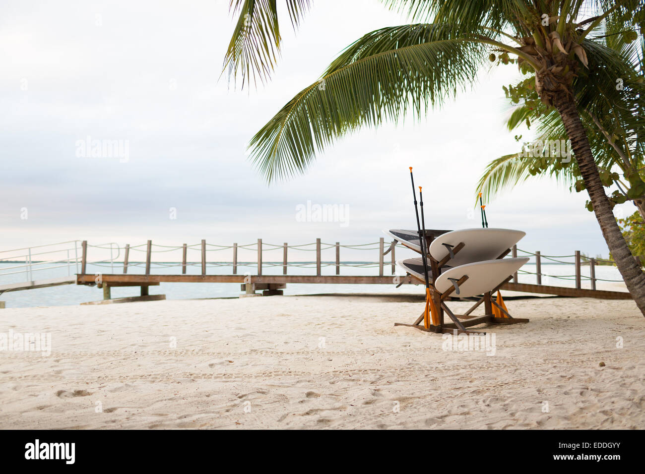surfboards on tropical beach Stock Photo - Alamy