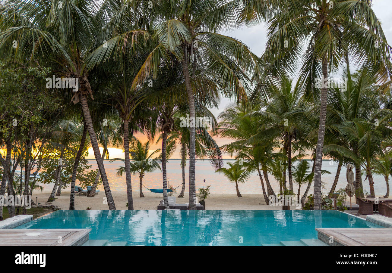 swimming pool on tropical beach Stock Photo - Alamy