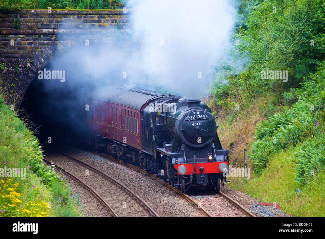 LMS Stanier Class 8F 48151 steam train emerging from tunnel. Low Baron ...