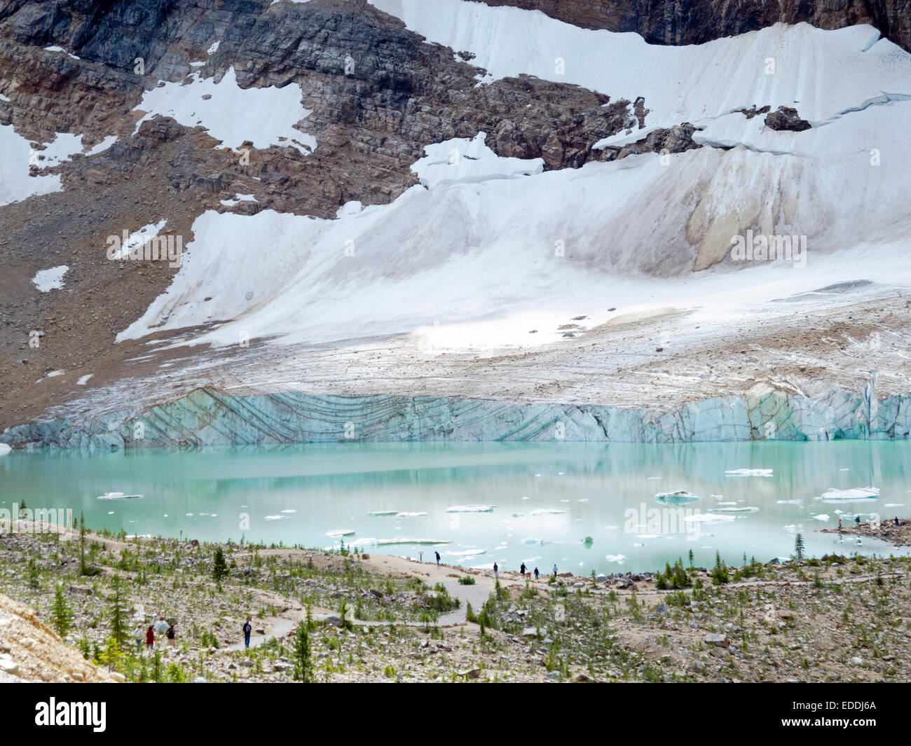 Canada, Alberta, Jasper National Park, Mountain Edith Cavell, Angel ...