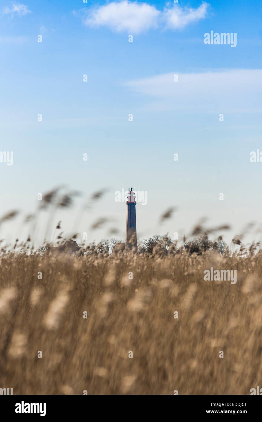 Orth house hi-res stock photography and images - Alamy