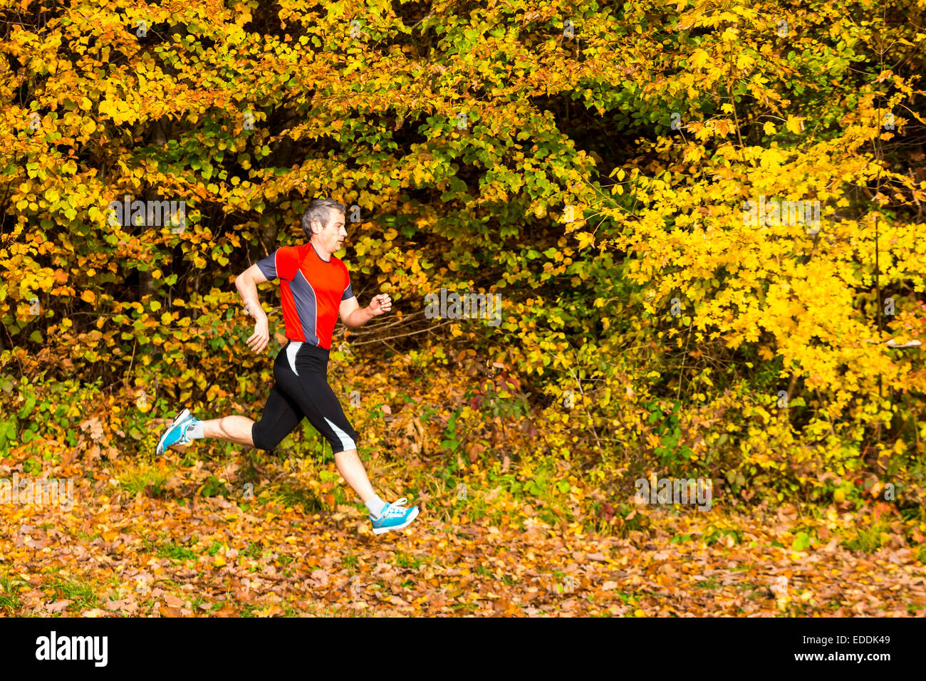 Man running in autumnal forest Stock Photo - Alamy