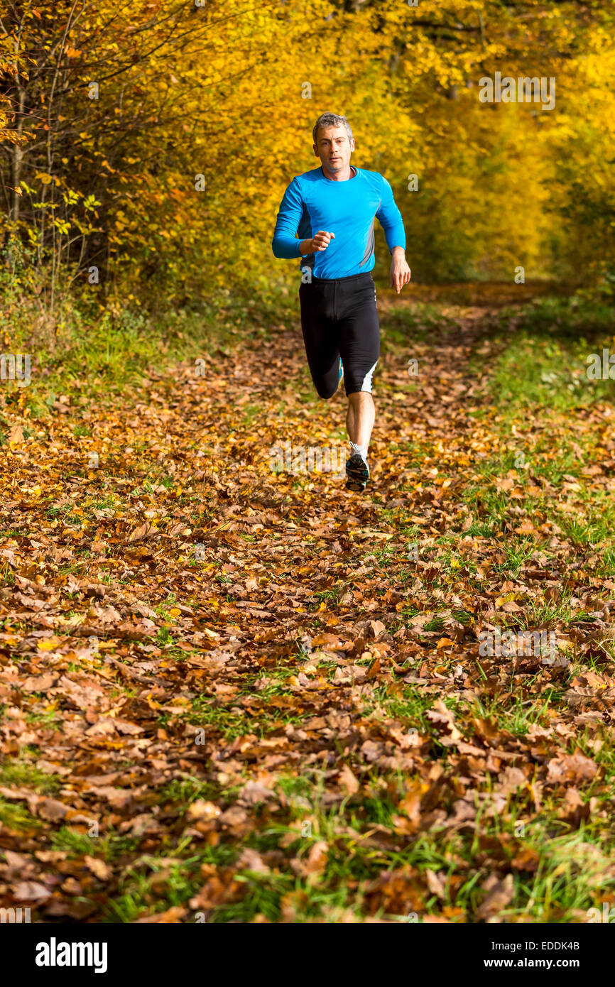 Man running in autumnal forest Stock Photo - Alamy