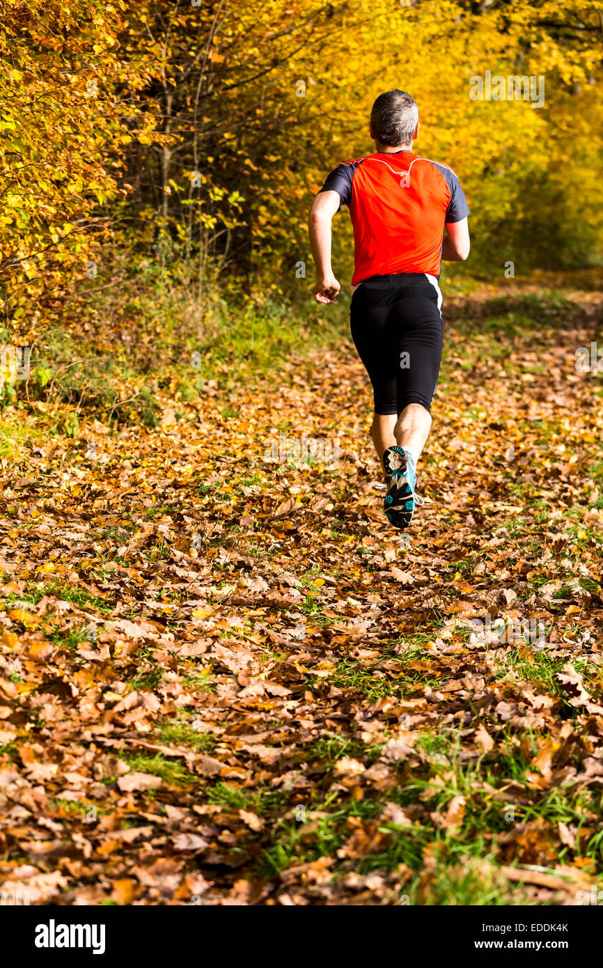 Man running in autumnal forest Stock Photo - Alamy