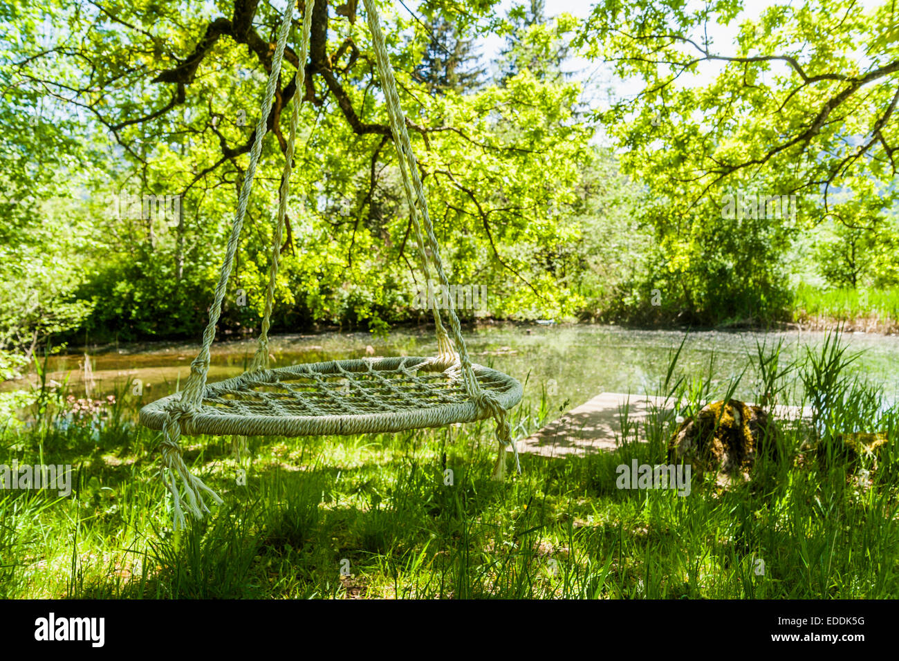 Empty nest hi-res stock photography and images - Alamy