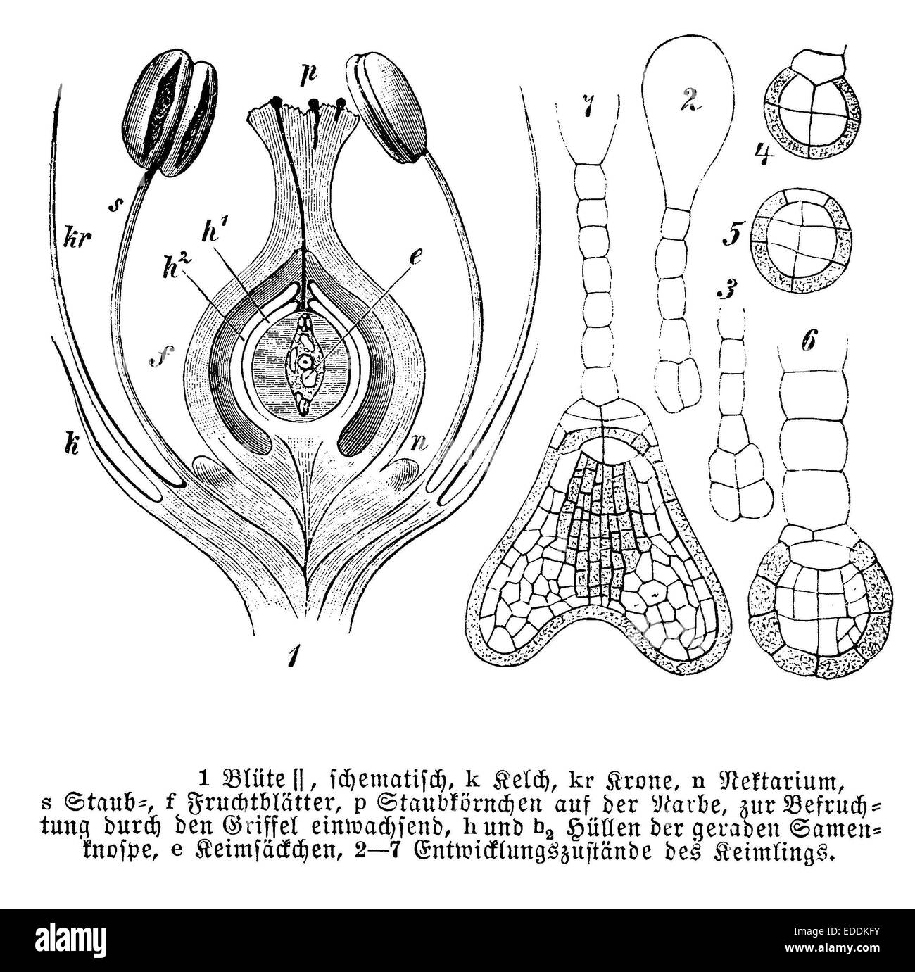 Schematisch High Resolution Stock Photography and Images - Alamy