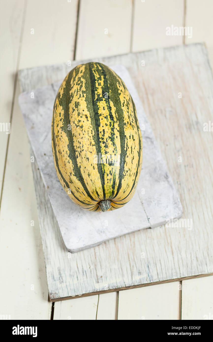 Striped organic spaghetti-squash, Cucurbita pepo, on white, Studio ...