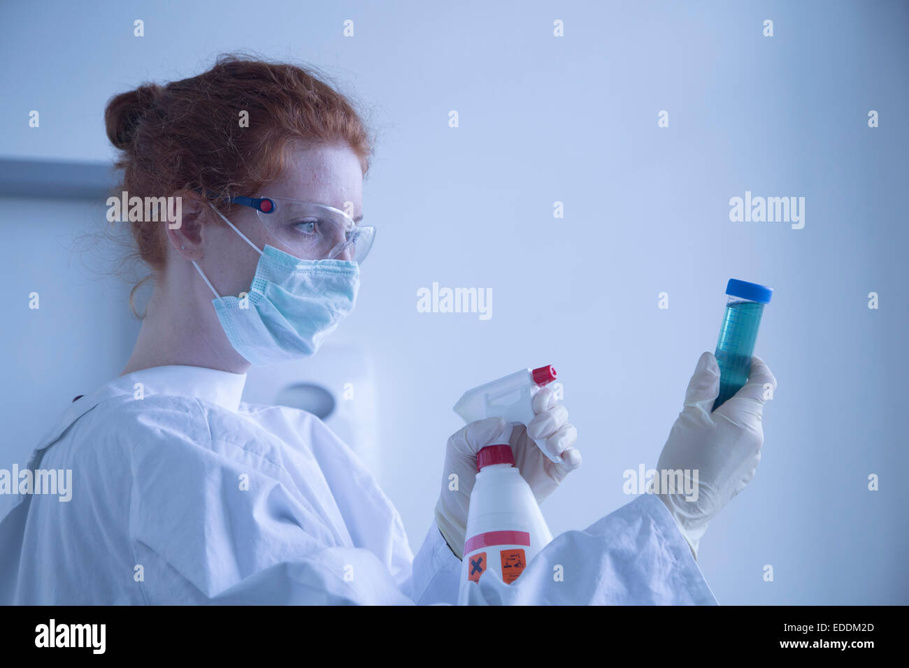 Young female natural scientist with mask disinfecting a test in ...