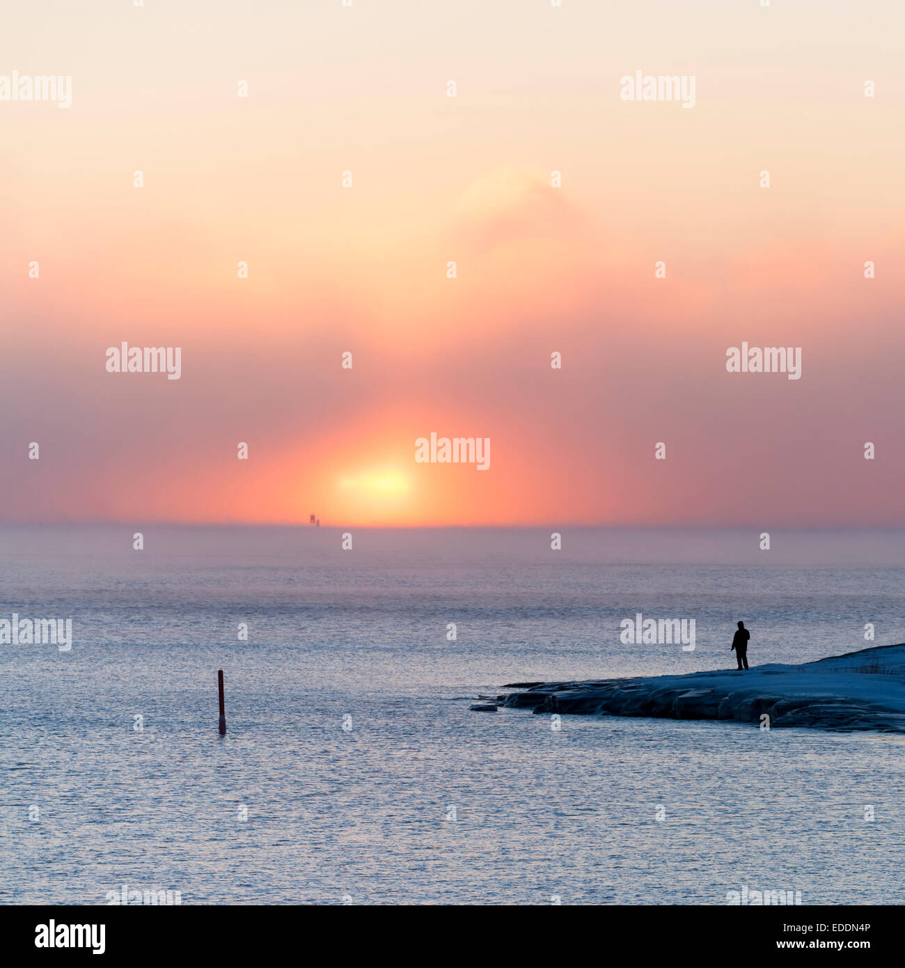 Winter nature helsinki hi-res stock photography and images - Alamy