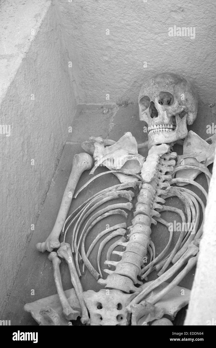 Skeleton Box High Resolution Stock Photography and Images - Alamy