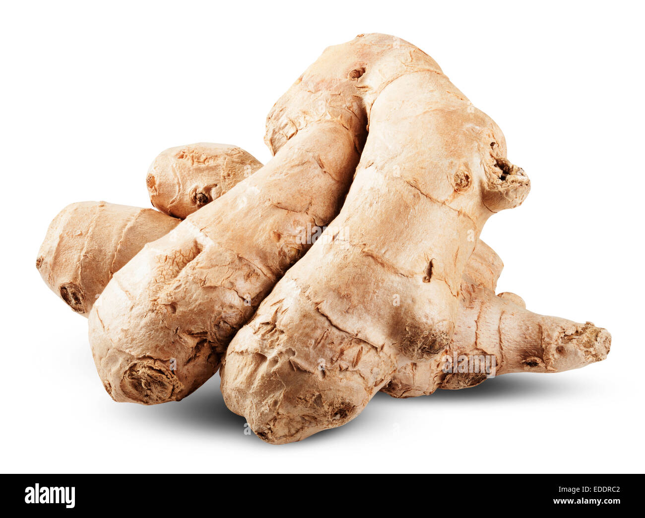 ginger isolated on white background. Clipping Path Stock Photo - Alamy