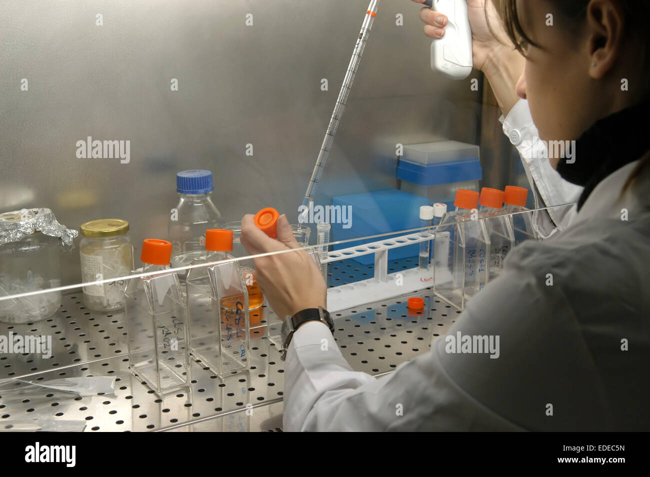 Dna extraction hi-res stock photography and images - Alamy