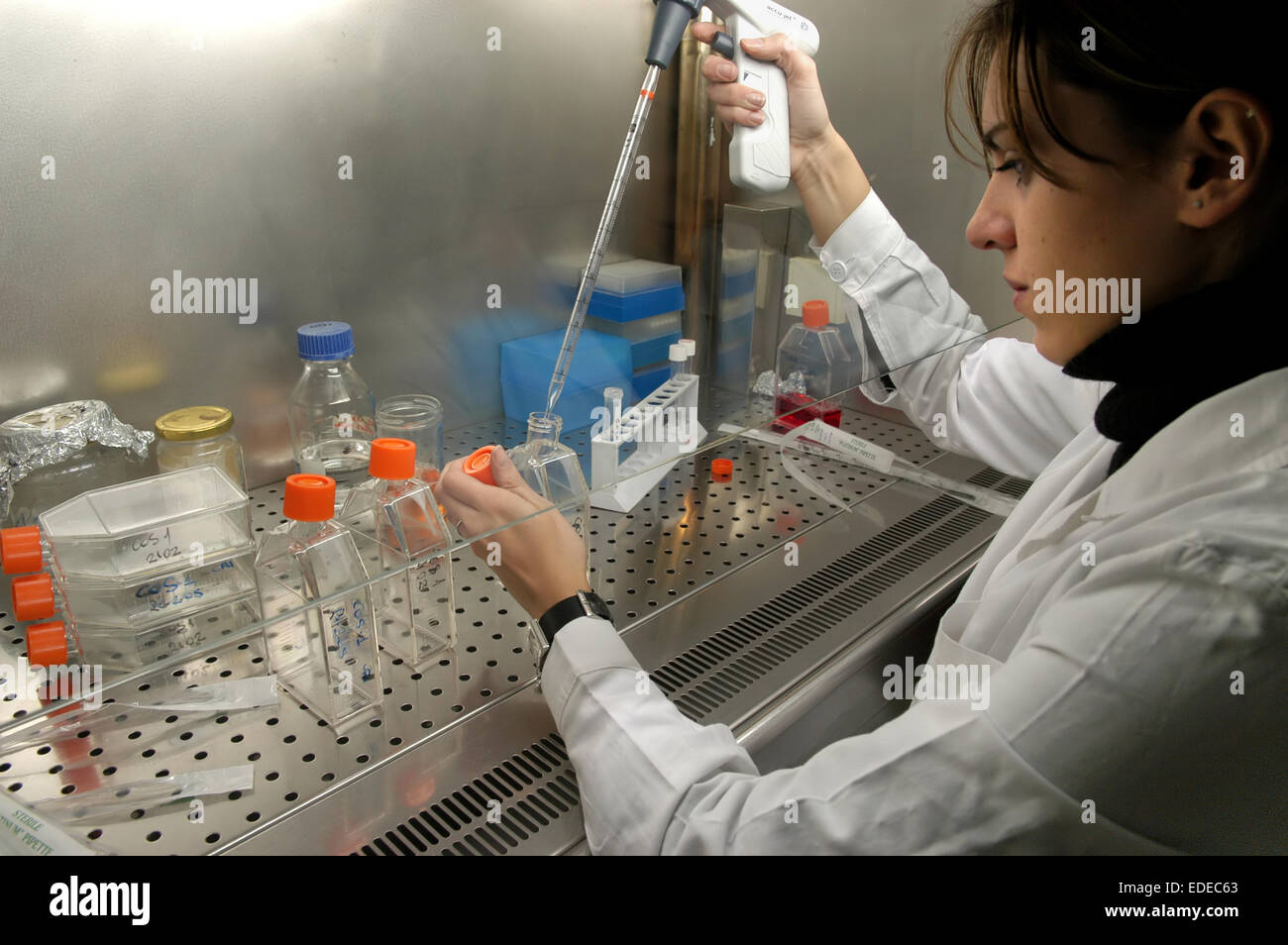 University of Milan (Italy), department of Biology and Genetics for ...