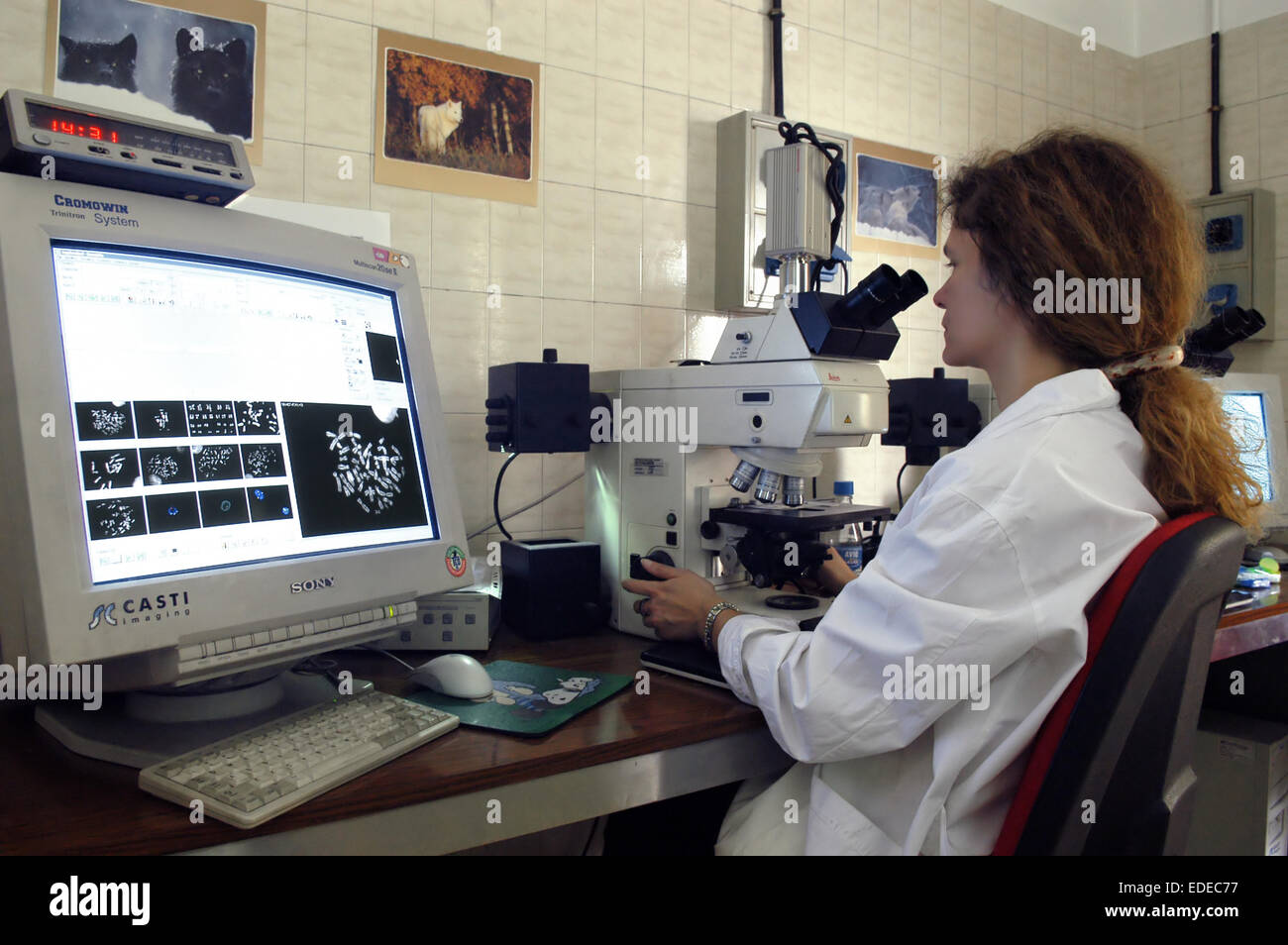 University of Milan (Italy), department of Biology and Genetics ...