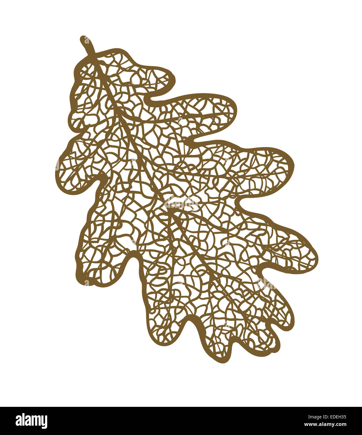 Vector oak leaf, isolated on white background Stock Photo - Alamy