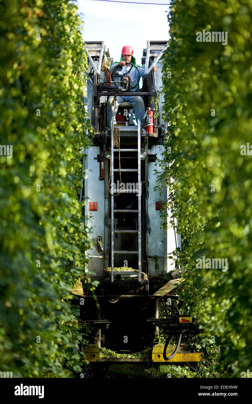 Row row ferry hi-res stock photography and images - Alamy