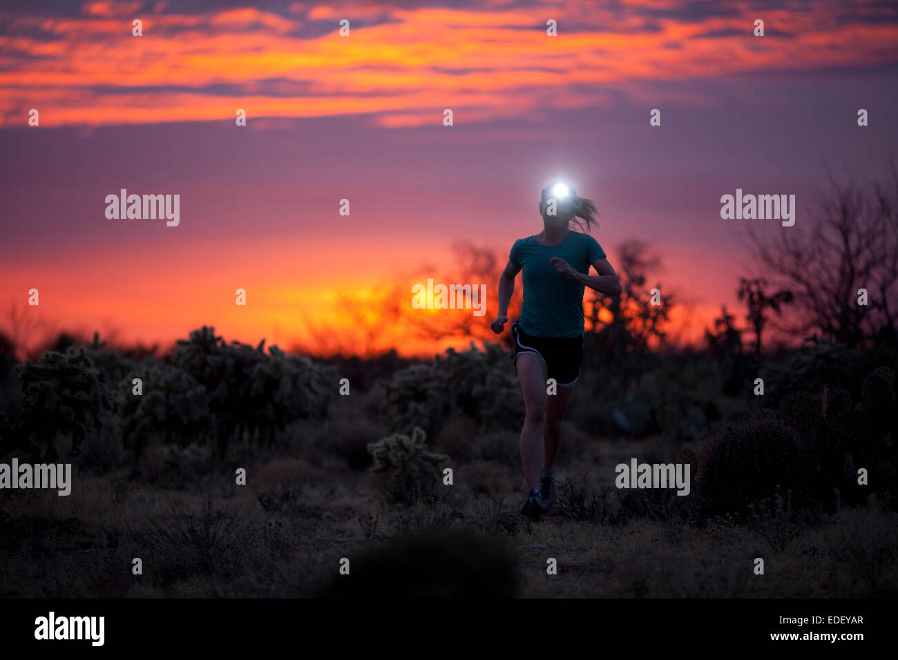Running in sunset hi-res stock photography and images - Alamy