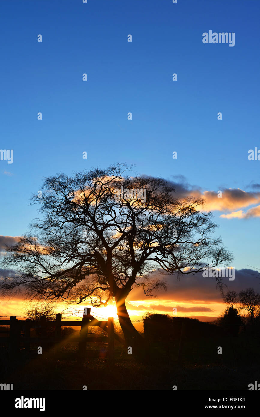 Ingleton, County Durham, UK. 6th January 2015. UK weather. After a grey ...
