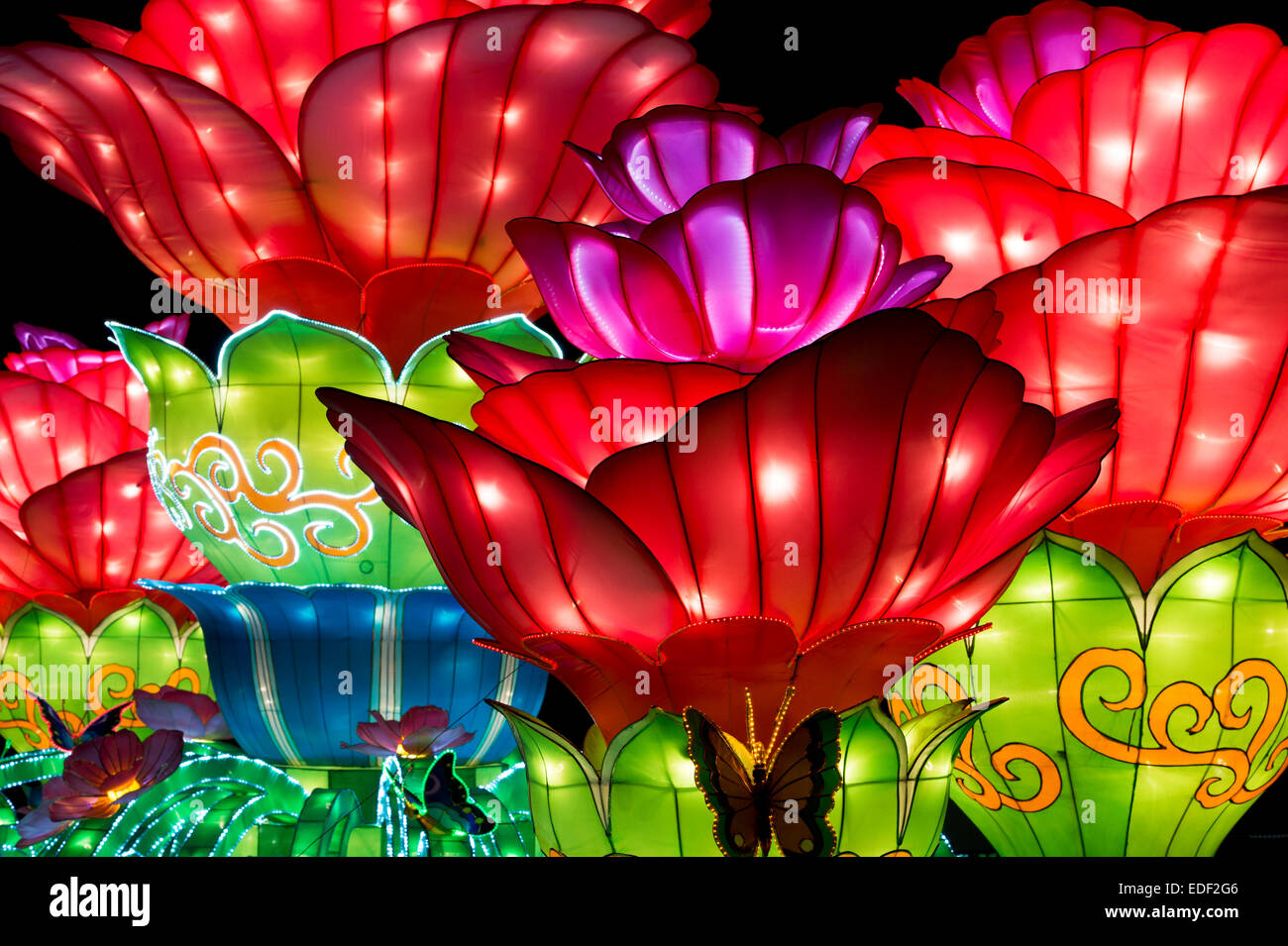 Lotus lantern festival lanterns hi-res stock photography and images - Alamy