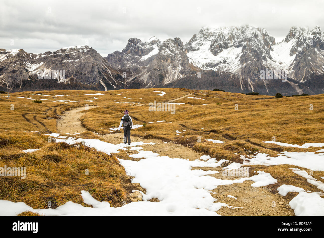 a girl walking in the forest in the italian alps Stock Photo - Alamy