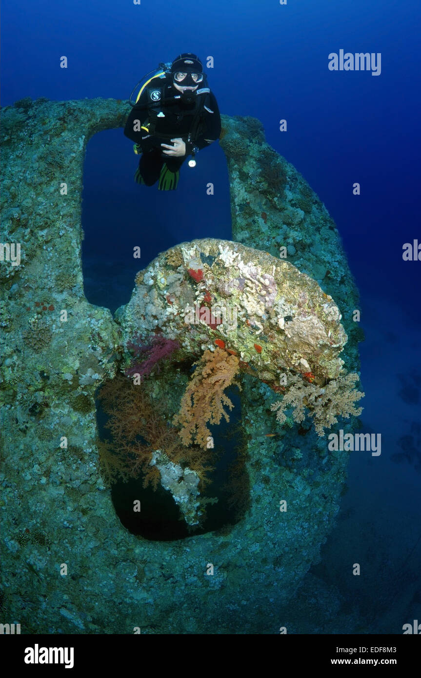 Diver floats between the wheel and screw shipwreck "SS Dunraven", Red ...