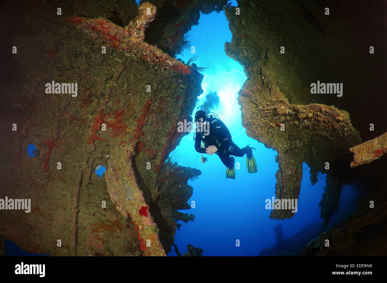 Diver on swims in the hold of the shipwreck "SS Dunraven", Red Sea ...